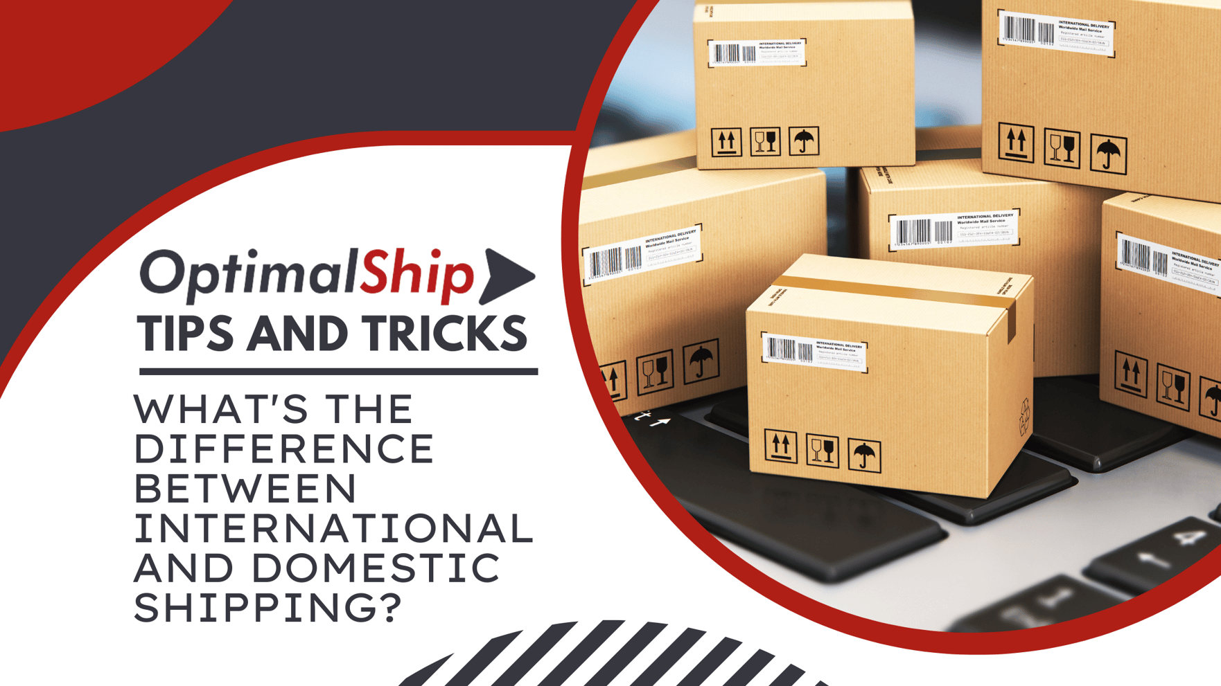 What's the Difference Between International and Domestic Shipping?